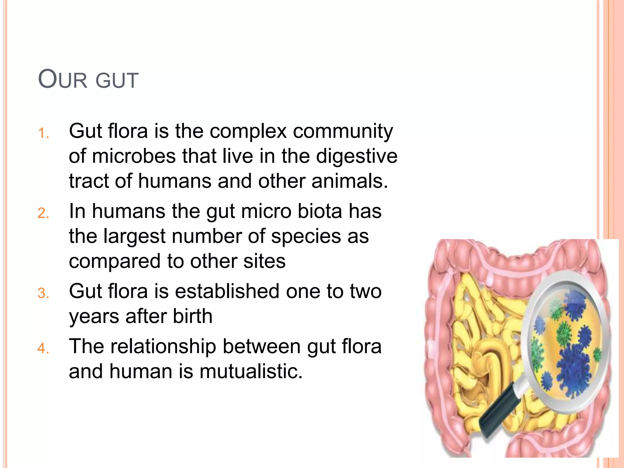 The role of good bacteria in our gut | PPTX