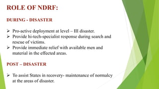 The role of government in a disaster management | PPTX