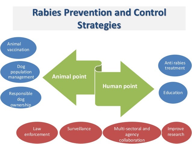 The role of human and animal health professionals towards rabies free…