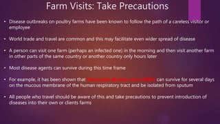 The role of human in poultry diseases outbreak | PPT
