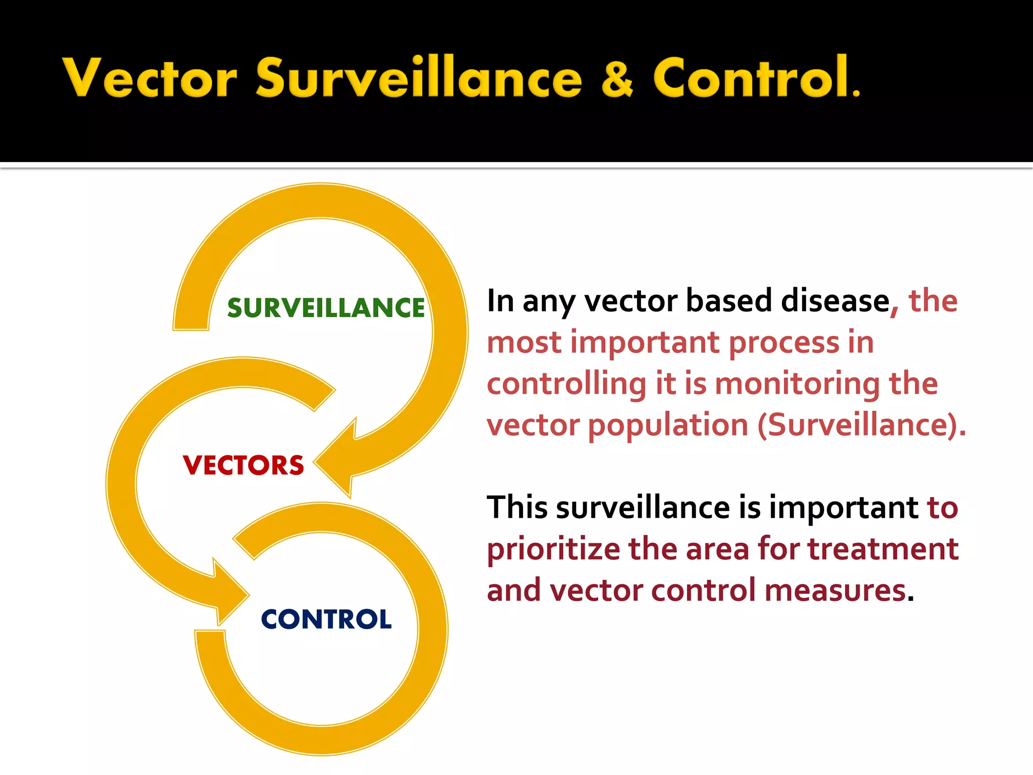 The Role of Information Communication Technology & Geoinformatics in ...