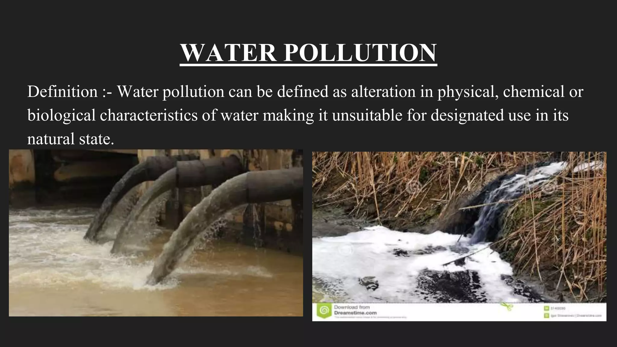 The role of individual in prevention of pollution and bhopal gas ...