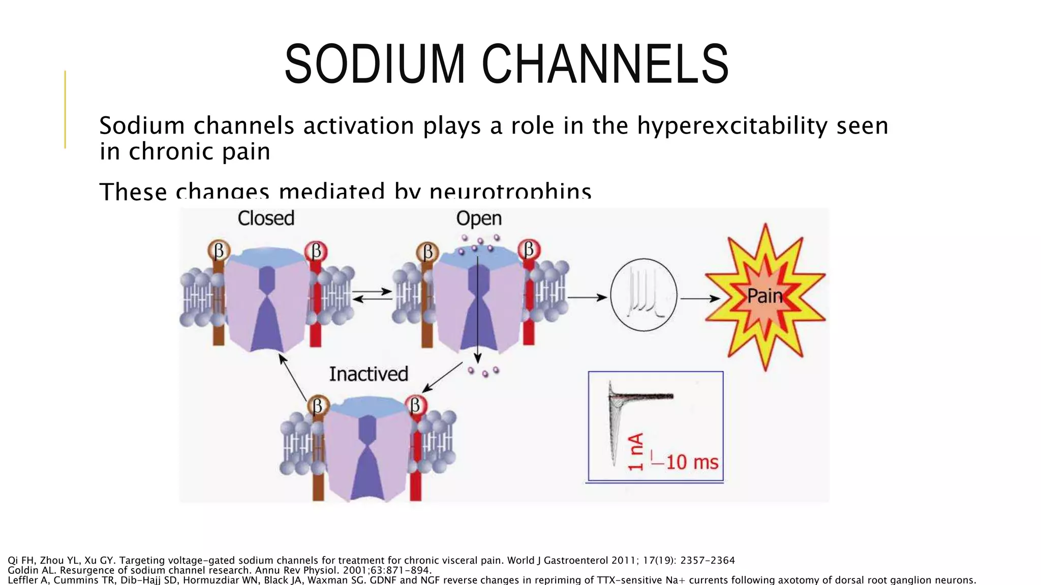 The Role of Ion Channels in Chronic Pain | PPTX