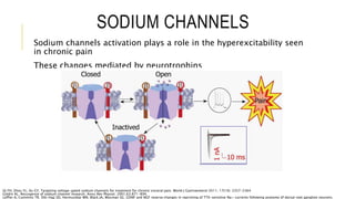 The Role of Ion Channels in Chronic Pain | PPTX