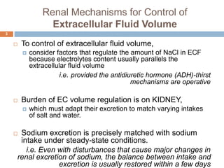 The role of kidney in the regulation of | PPTX