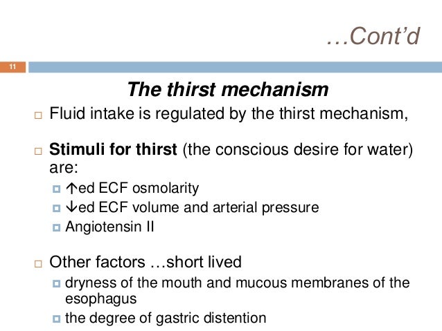 Describe The Thirst Mechanism