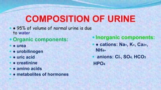 The role of Kidney in Urine Formation .pptx