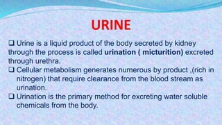 The role of Kidney in Urine Formation .pptx