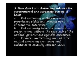 The Role of Local Government in Development | PDF