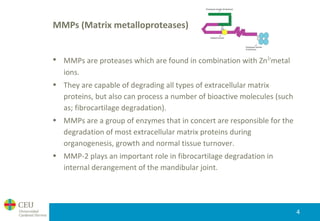 The role of matrix metalloproteinase 2 | PPT