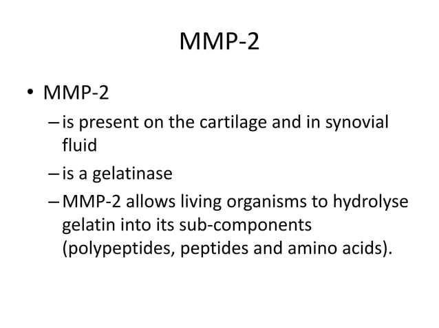 The role of matrix metalloproteinase 2 (mmp 2 | PPTX