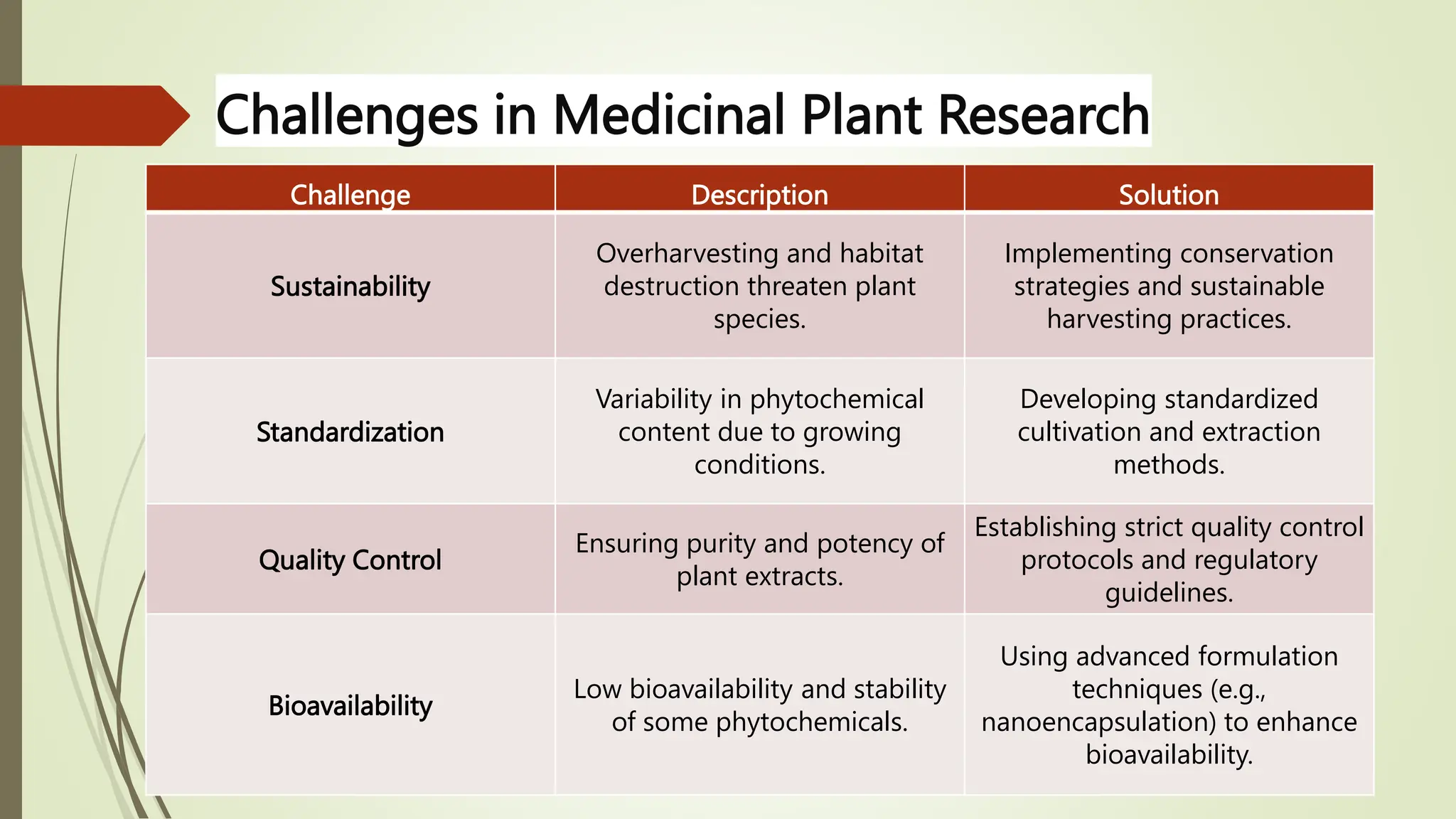 The Role of Medicinal Plants in Drug Discovery.pptx