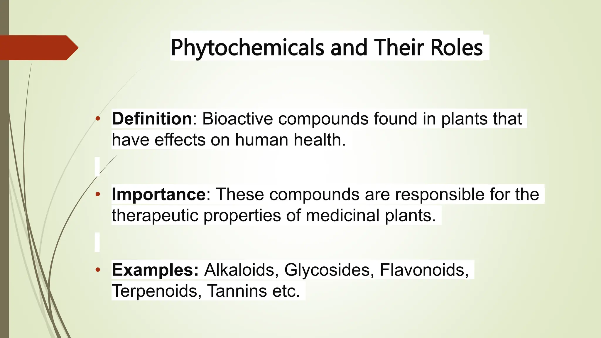 The Role of Medicinal Plants in Drug Discovery.pptx