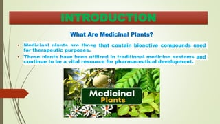 The Role of Medicinal Plants in Drug Discovery.pptx
