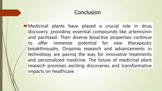 The Role of Medicinal Plants in Drug Discovery.pptx