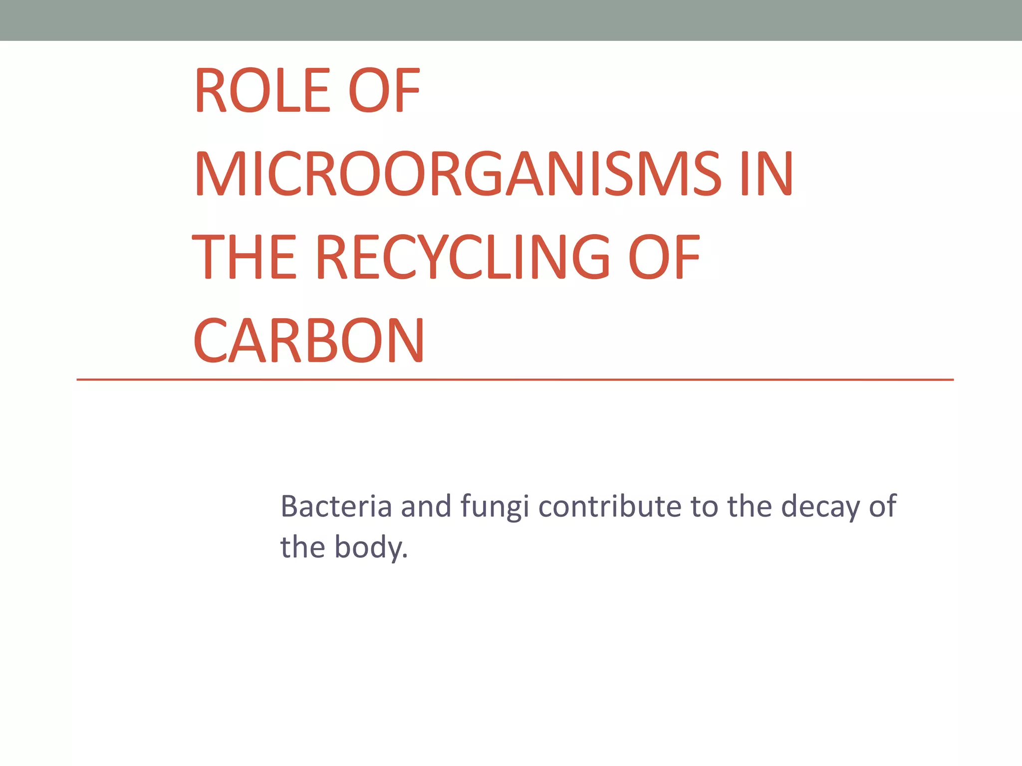 The Role of Micro-Organisms in the Decomposition of Organic Matter and ...