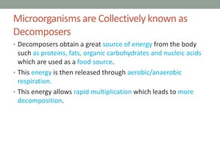 The Role of Micro-Organisms in the Decomposition of Organic Matter and ...