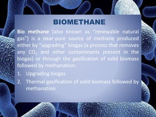 THE ROLE OF MICROBES IN ALTERNATE ENERGY GENERATION.pptx