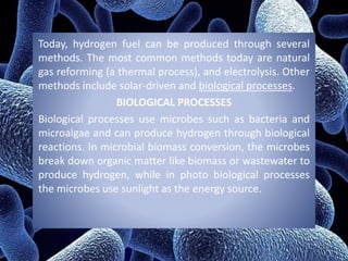THE ROLE OF MICROBES IN ALTERNATE ENERGY GENERATION.pptx