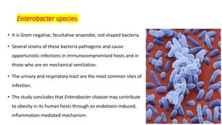 The Role of Microorganism in Hospital Acquired Infection.pptx