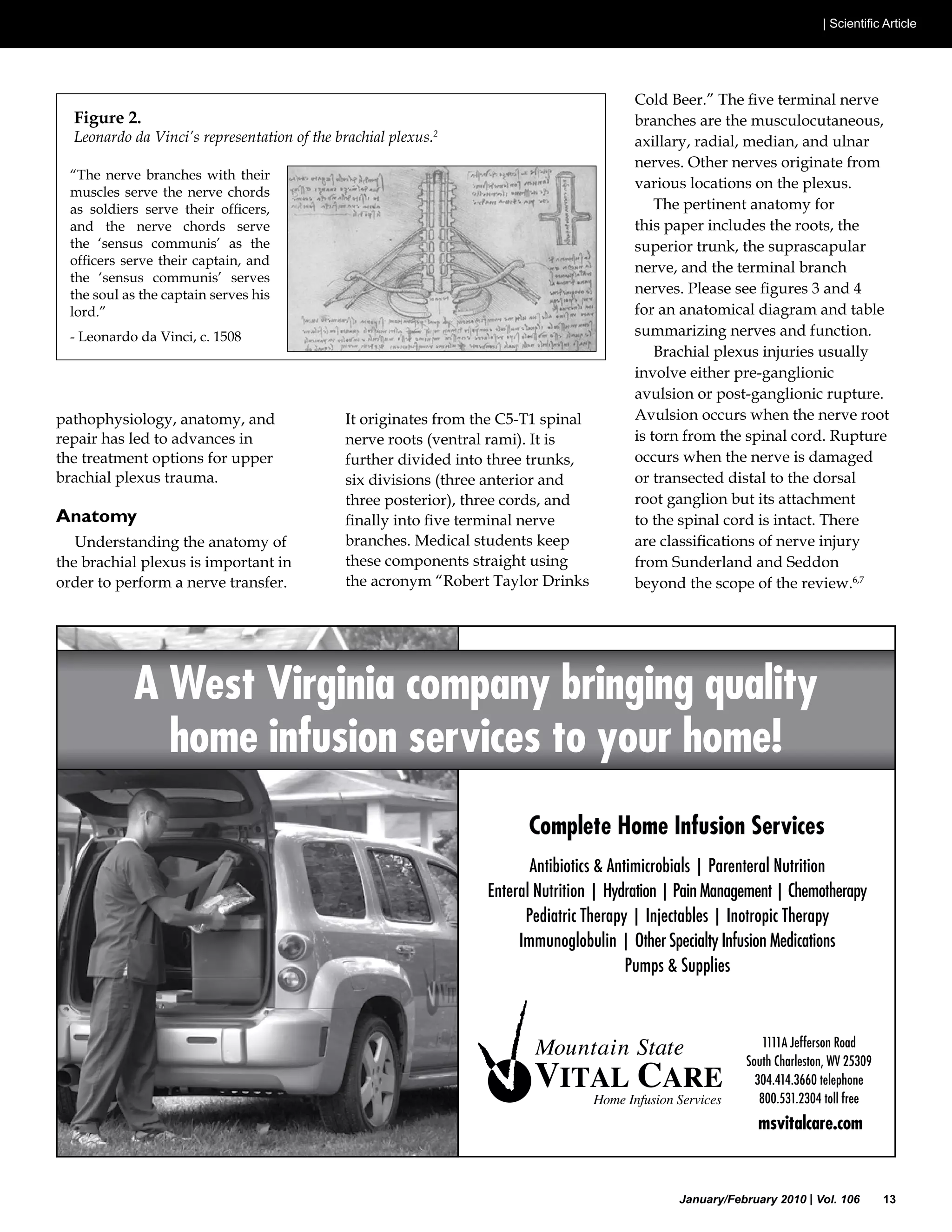 C5 C6 Nerve Transfers for Brachial Plexus Injury | PDF