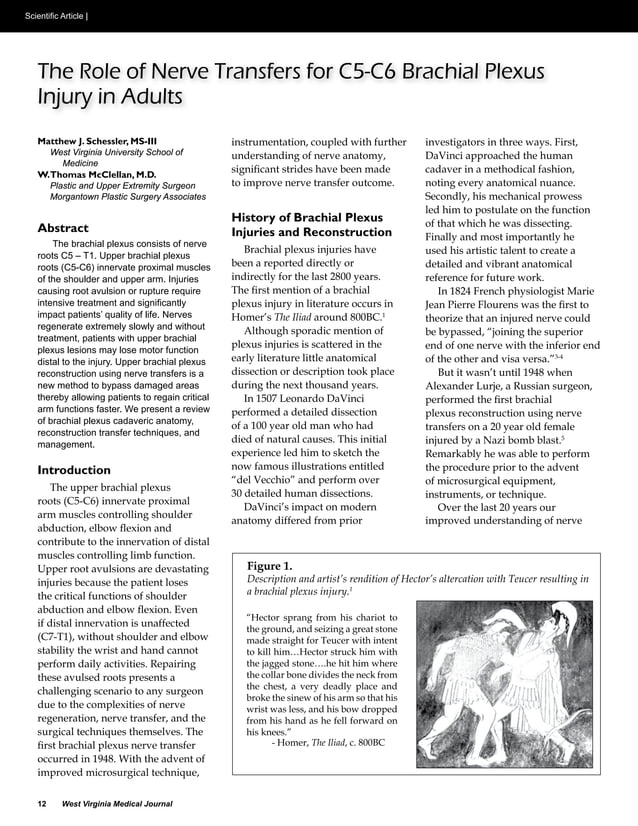 C5 C6 Nerve Transfers for Brachial Plexus Injury | PDF | Death, Injury ...