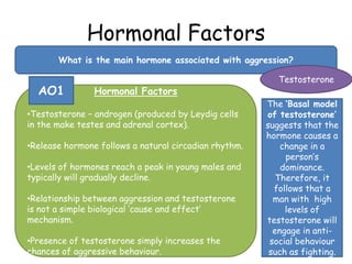 The role of neural and hormonal factors in aggression | PDF