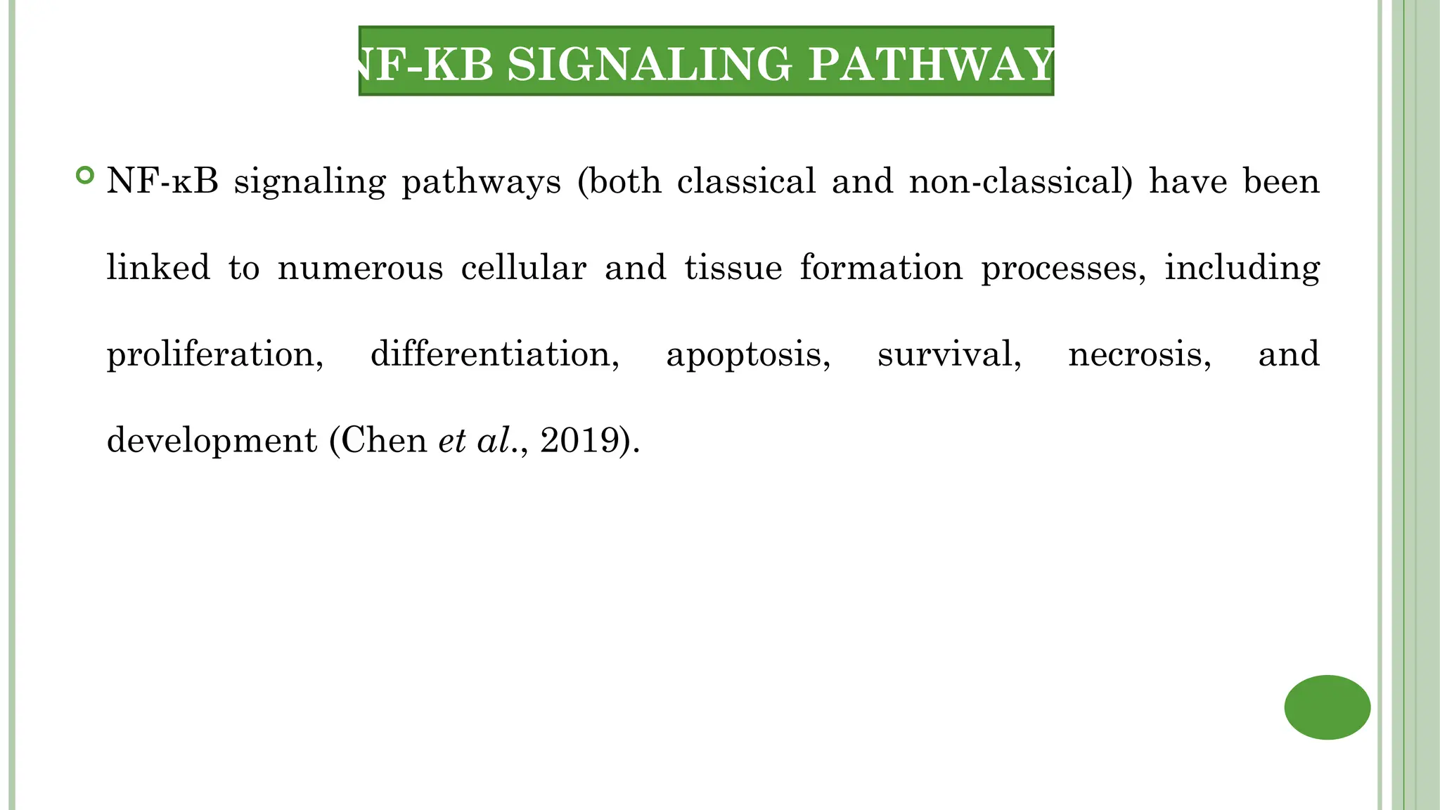 THE ROLE OF NF-κB SIGNALING PATHWAYS IN DEVELOPMENTAL PROCESSES.ppt
