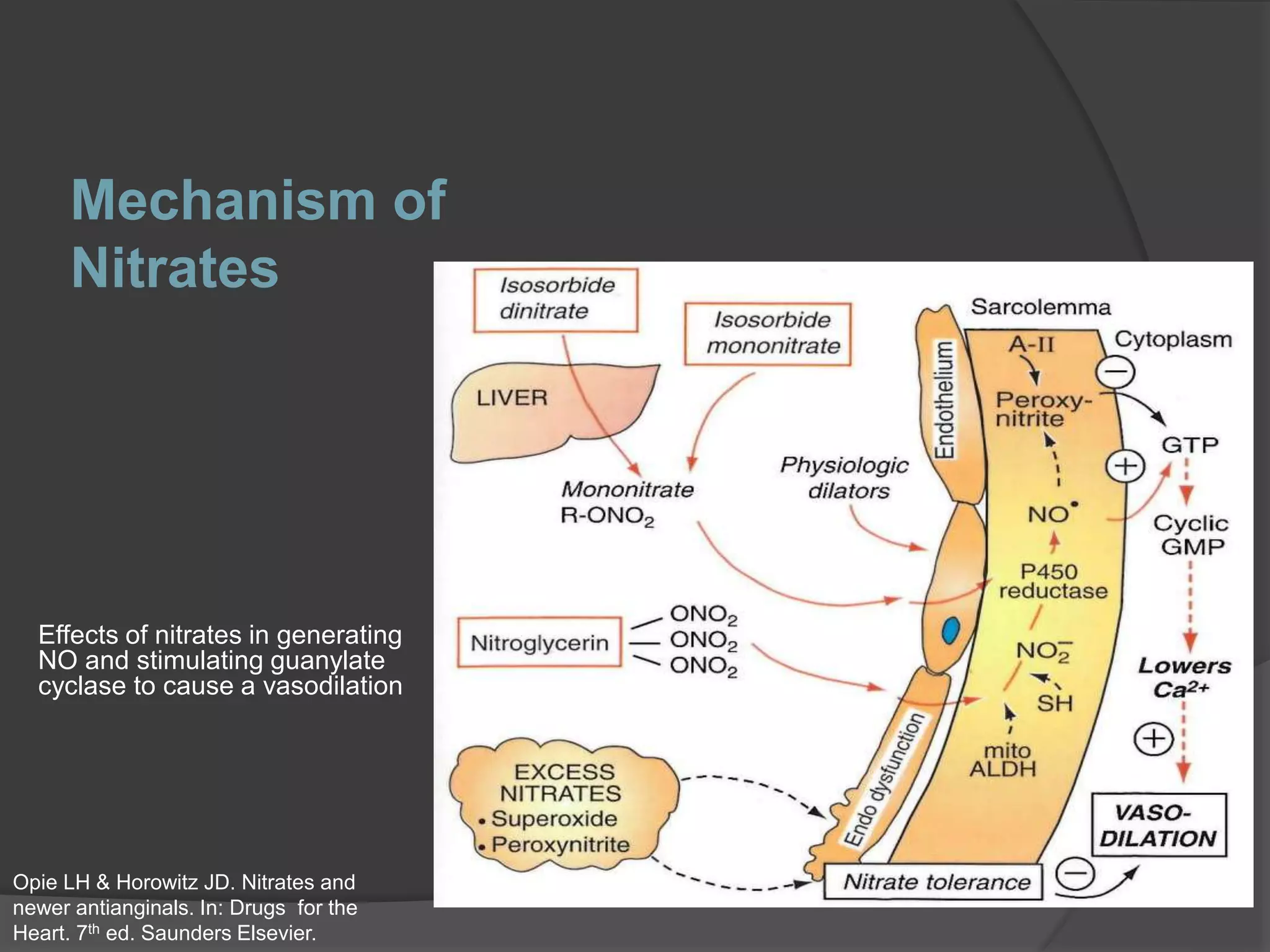 The Role of Nitroglycerin in Emergency Hypertension update.pptx