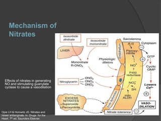 The Role of Nitroglycerin in Emergency Hypertension update.pptx