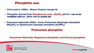 The role of phosphite in turfgrass management saltex | PPTX