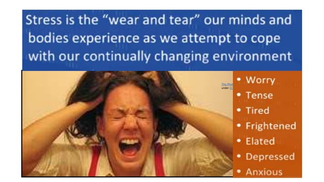 The role of Physical Activity in managing one’s stress.pptx