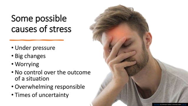 The role of Physical Activity in managing one’s stress.pptx