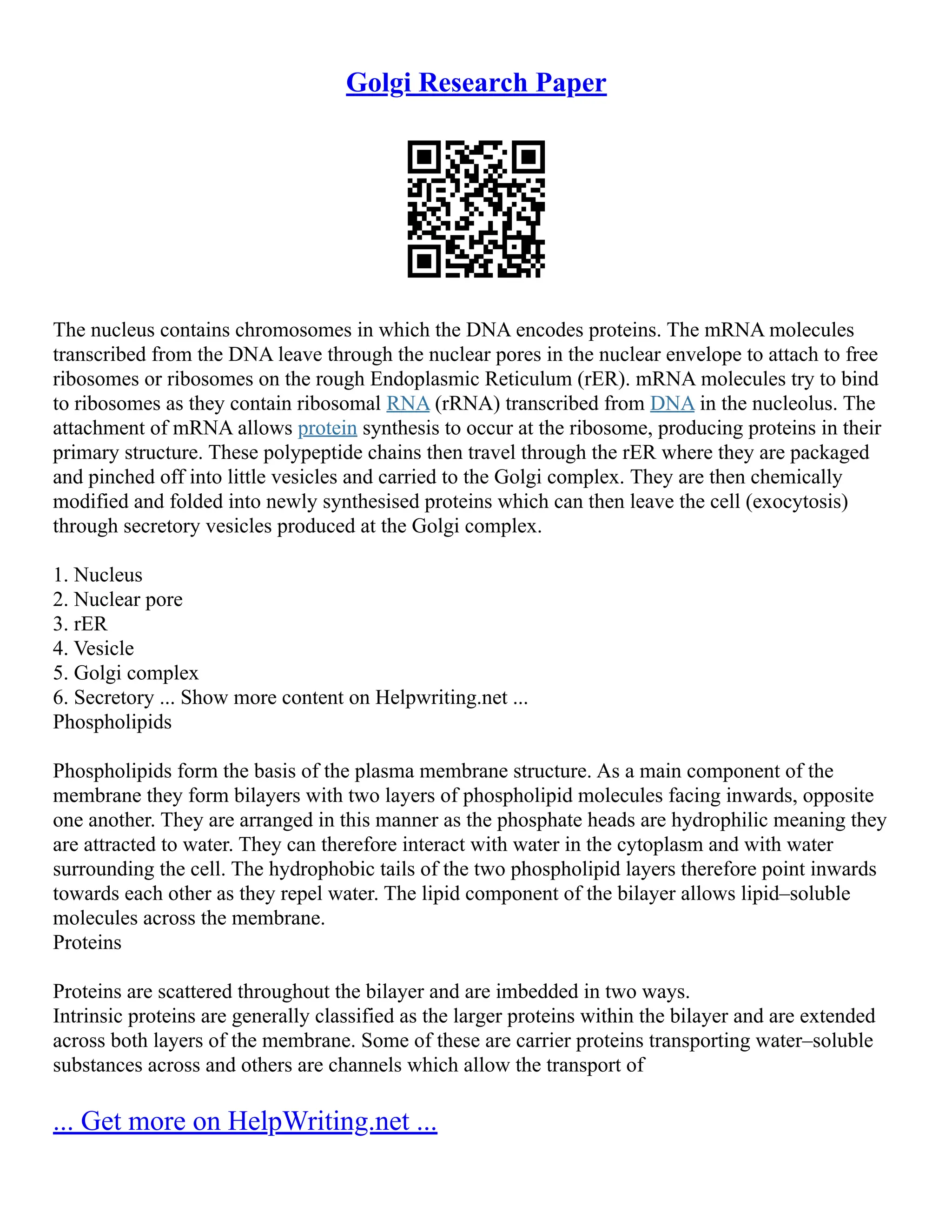 The Role Of Proteins Of Cell Membrane Transport | PDF