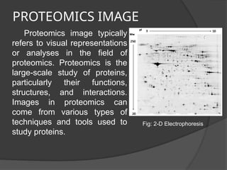 The Role Of Proteomics In Drug Discovery And Development (1).pptx
