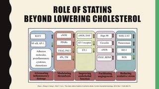 The Role of Statins in Ischaemic Stroke | PPTX