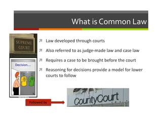 The role of the courts in law making | PDF