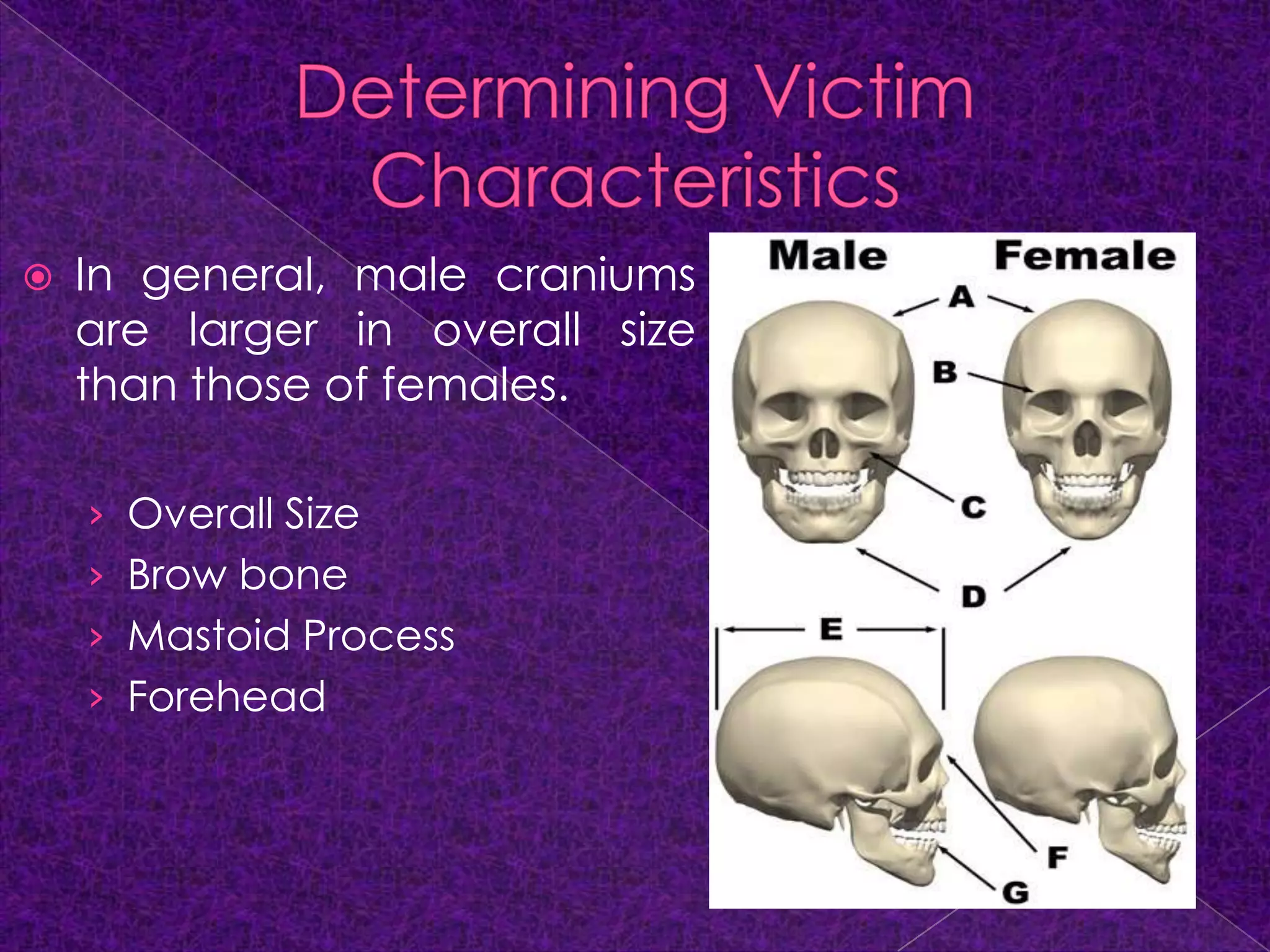 The role of the forensic anthropologist | PPTX
