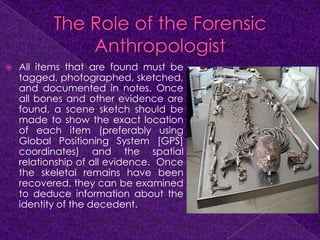 The role of the forensic anthropologist | PPTX