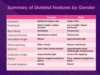 The role of the forensic anthropologist | PPTX