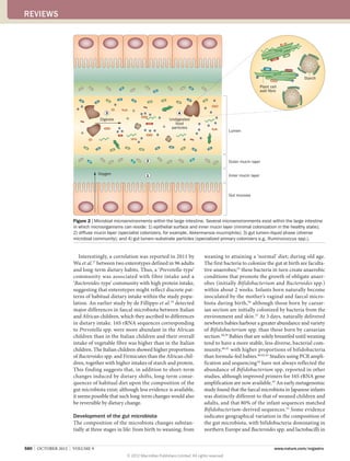 The role of the gut microbiota in nutrition and health | PDF