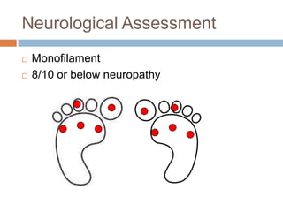 The role of the podiatrist | PPTX
