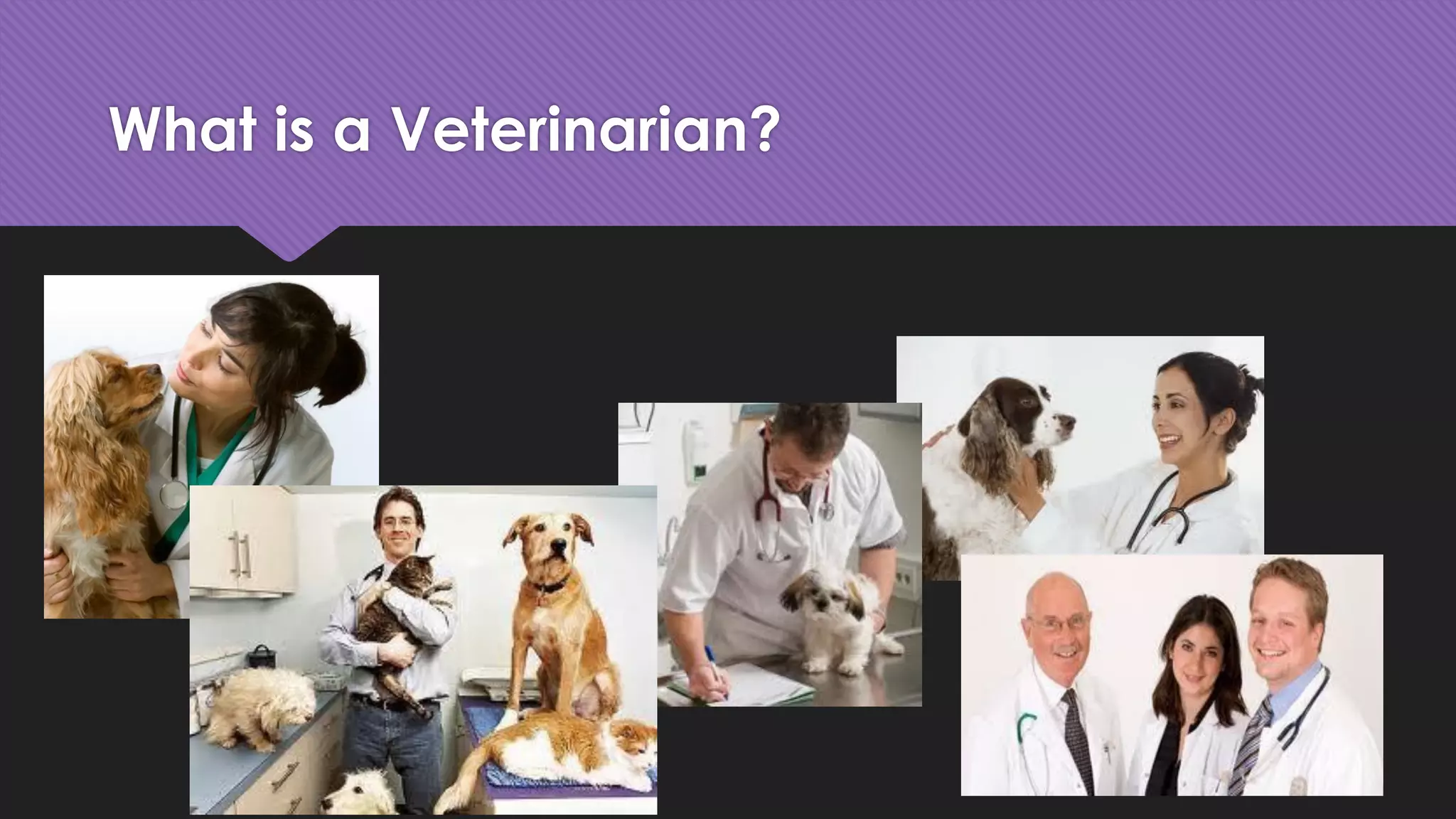The Role of the Veterinarian in One Health Program | PDF