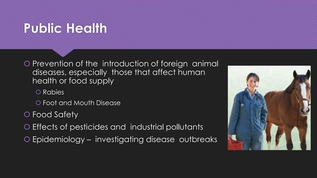 The Role of the Veterinarian in One Health Program | PDF