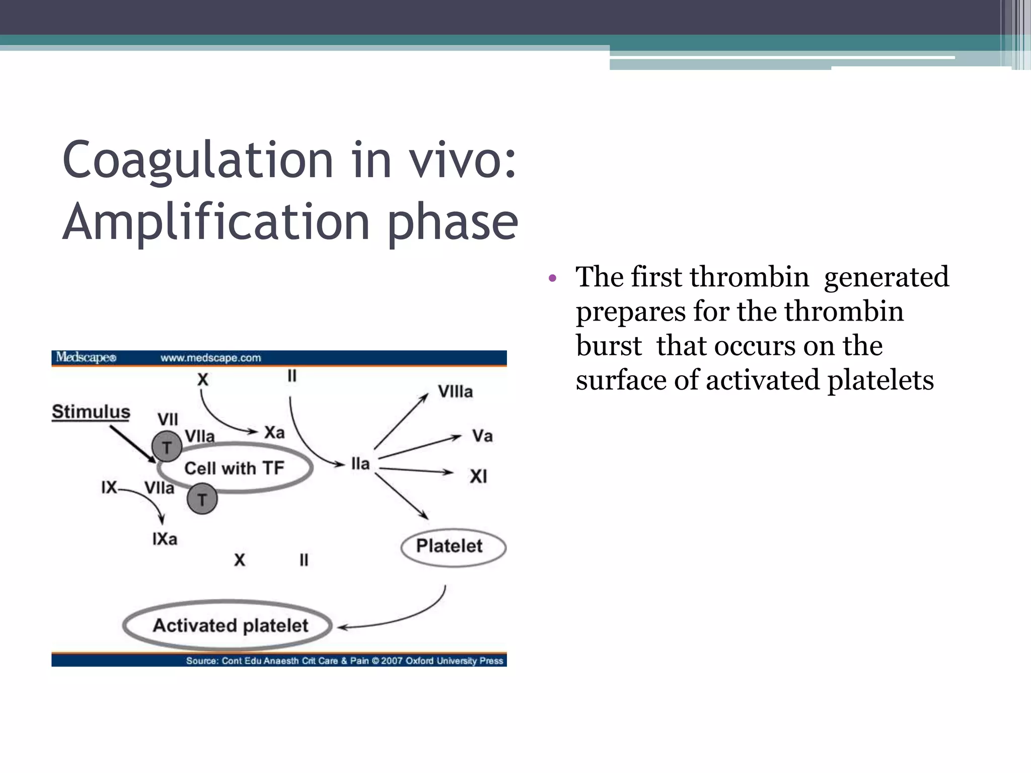 The role of thrombin in coagulation | PPTX