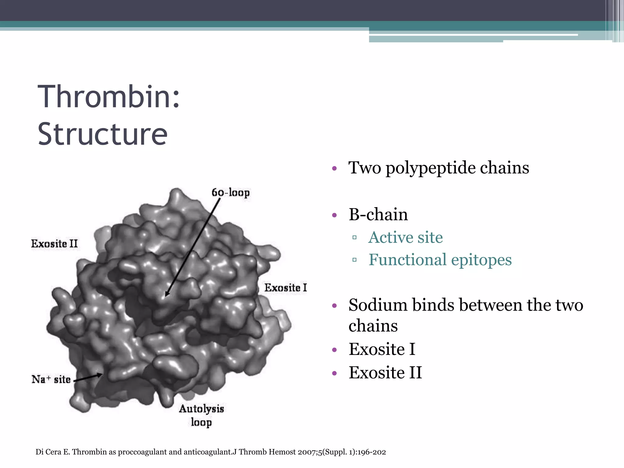 The role of thrombin in coagulation | PPTX