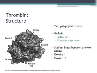 The role of thrombin in coagulation | PPT