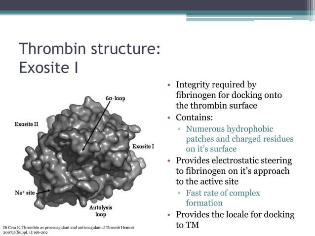 The role of thrombin in coagulation | PPT