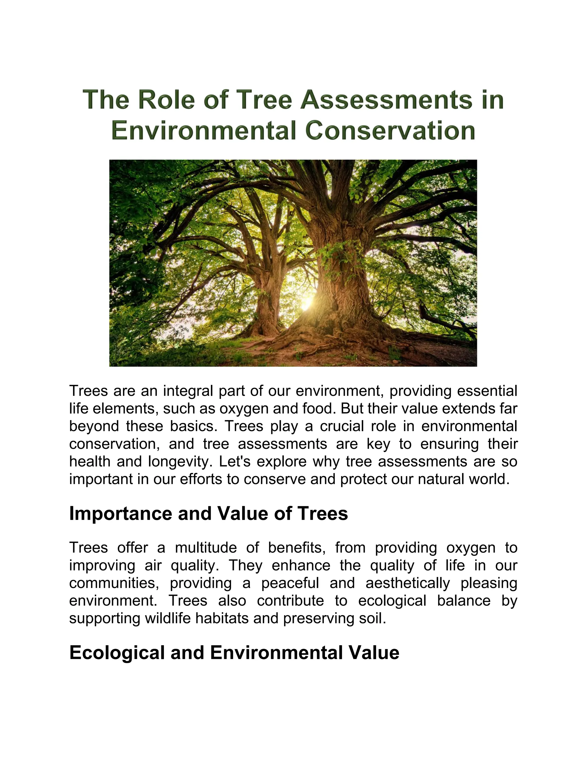 The Role of Tree Assessments in Environmental Conservation.pdf