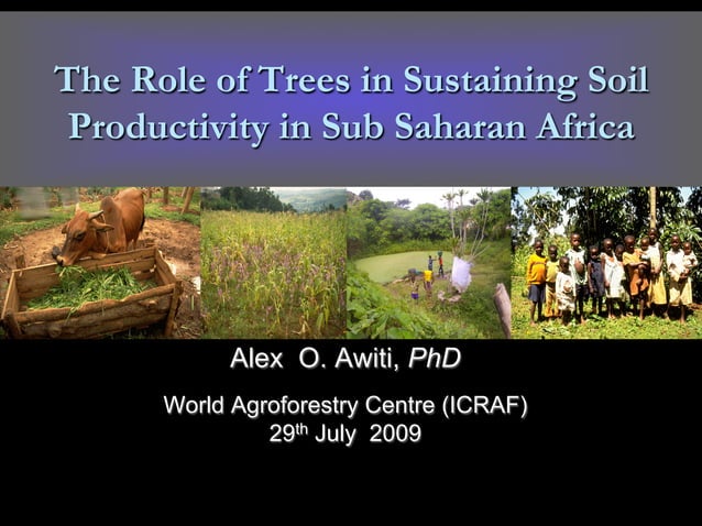 The role of trees in sustaining soil productivity in Sub-Saharan Africa ...